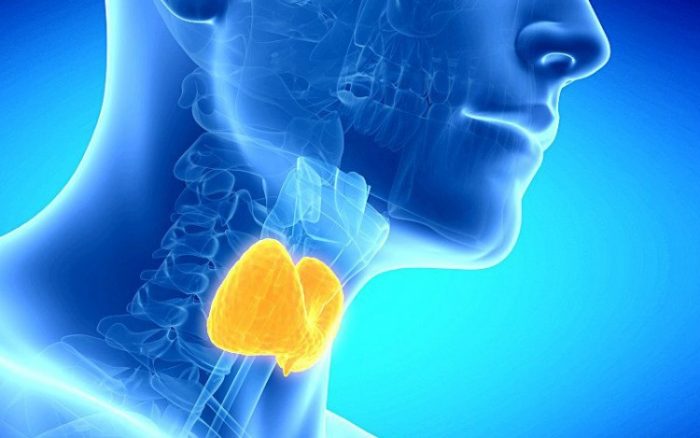 Enfermedades del Tiroides, tipos y tratamientos I